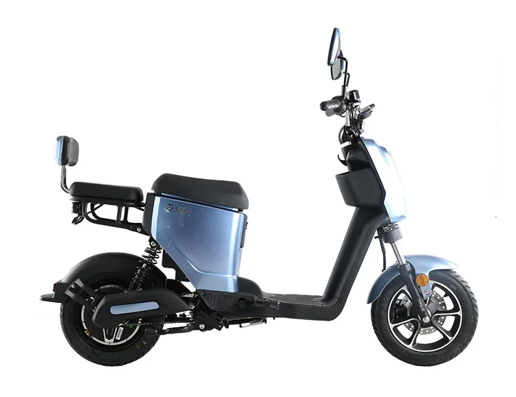 Tailg 350w Motor 48v/20ah Lithium Battery Luxury Electric Bike With Lcd ...