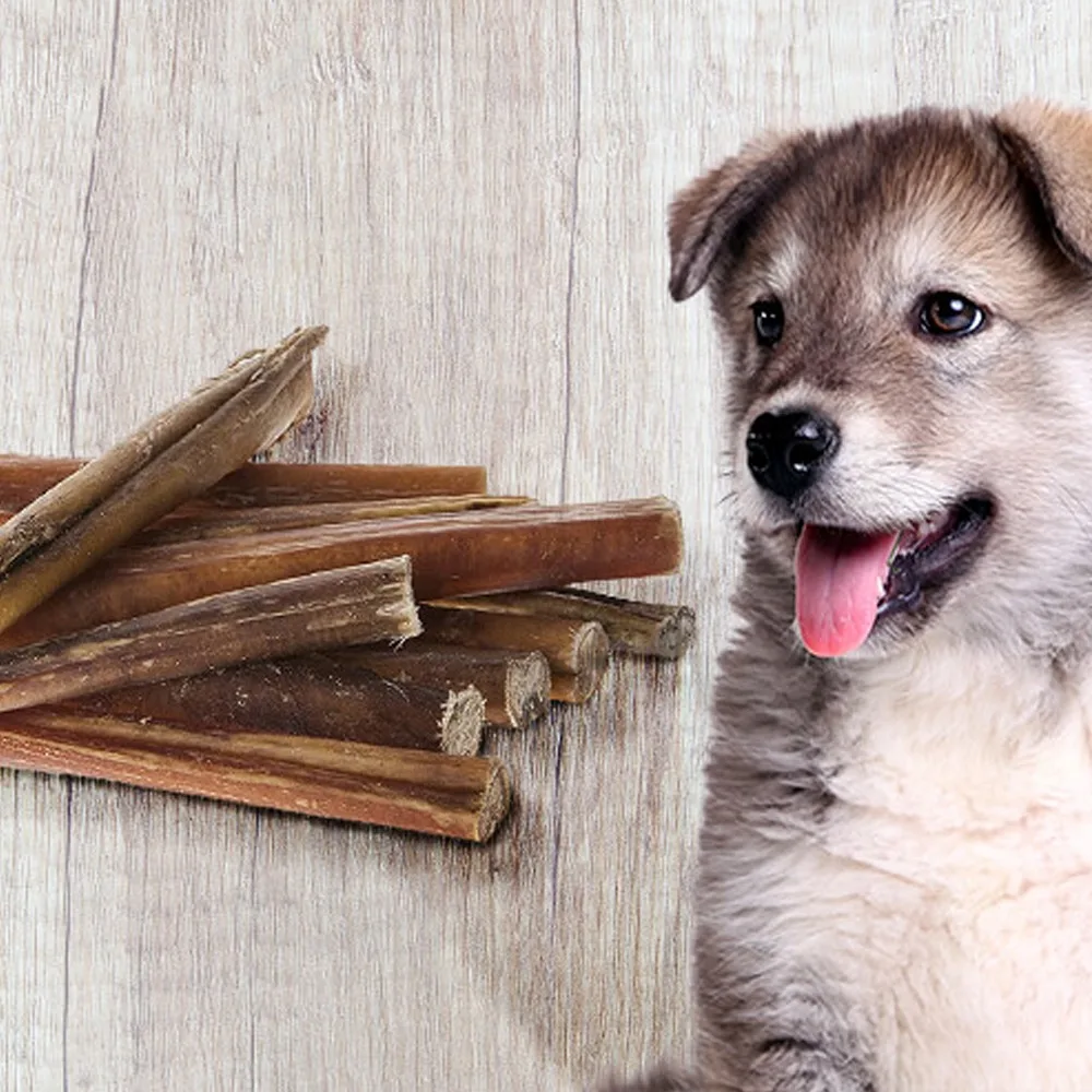 Premium Pizzle Power Pet Food Bully Sticks 4" Odor-free Delights For ...