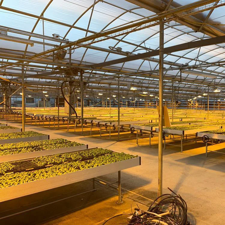 Greenhouse Ebb And Flow Table Rolling Benche Hydroponic System Grow ...