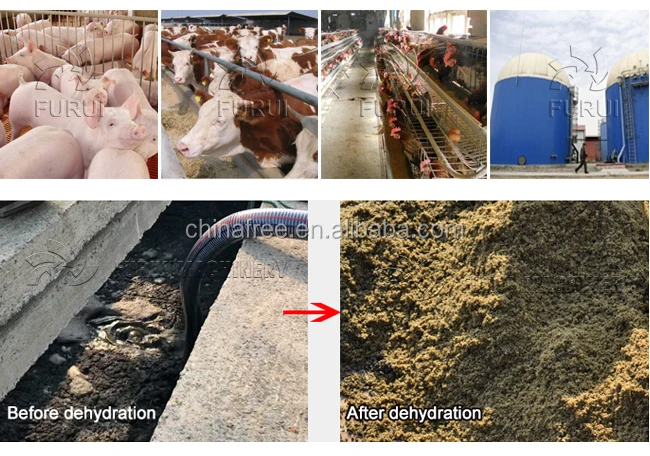 Efficient Cow Dung Cleaning Machine - Solid & Liquid Separator