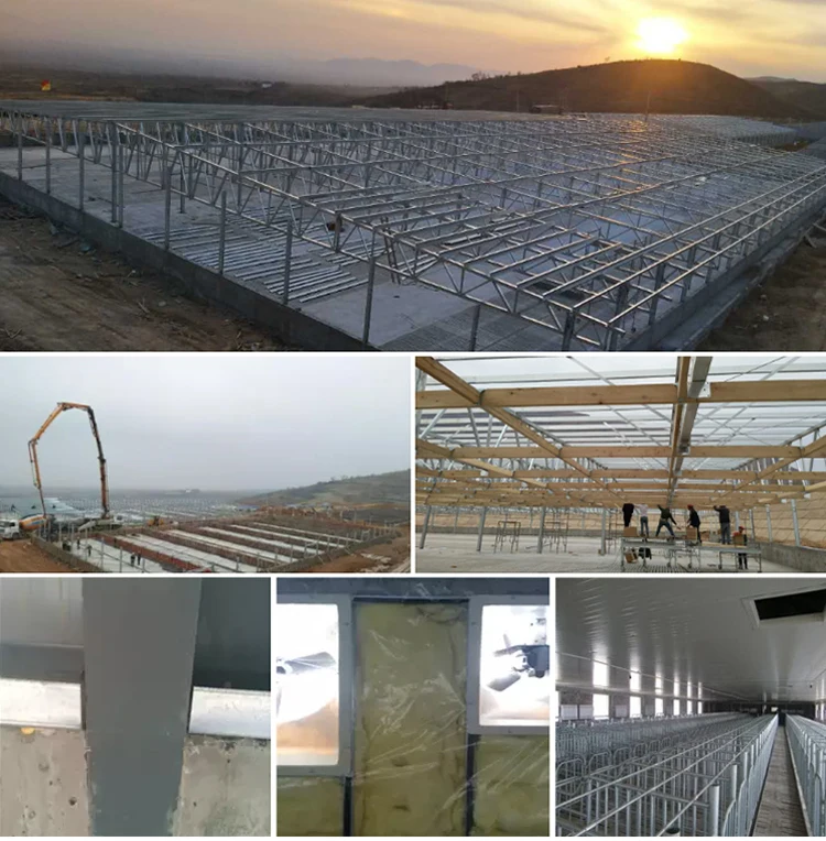 Prefab Poultry Closed House System With Full Set Automatic Broiler ...