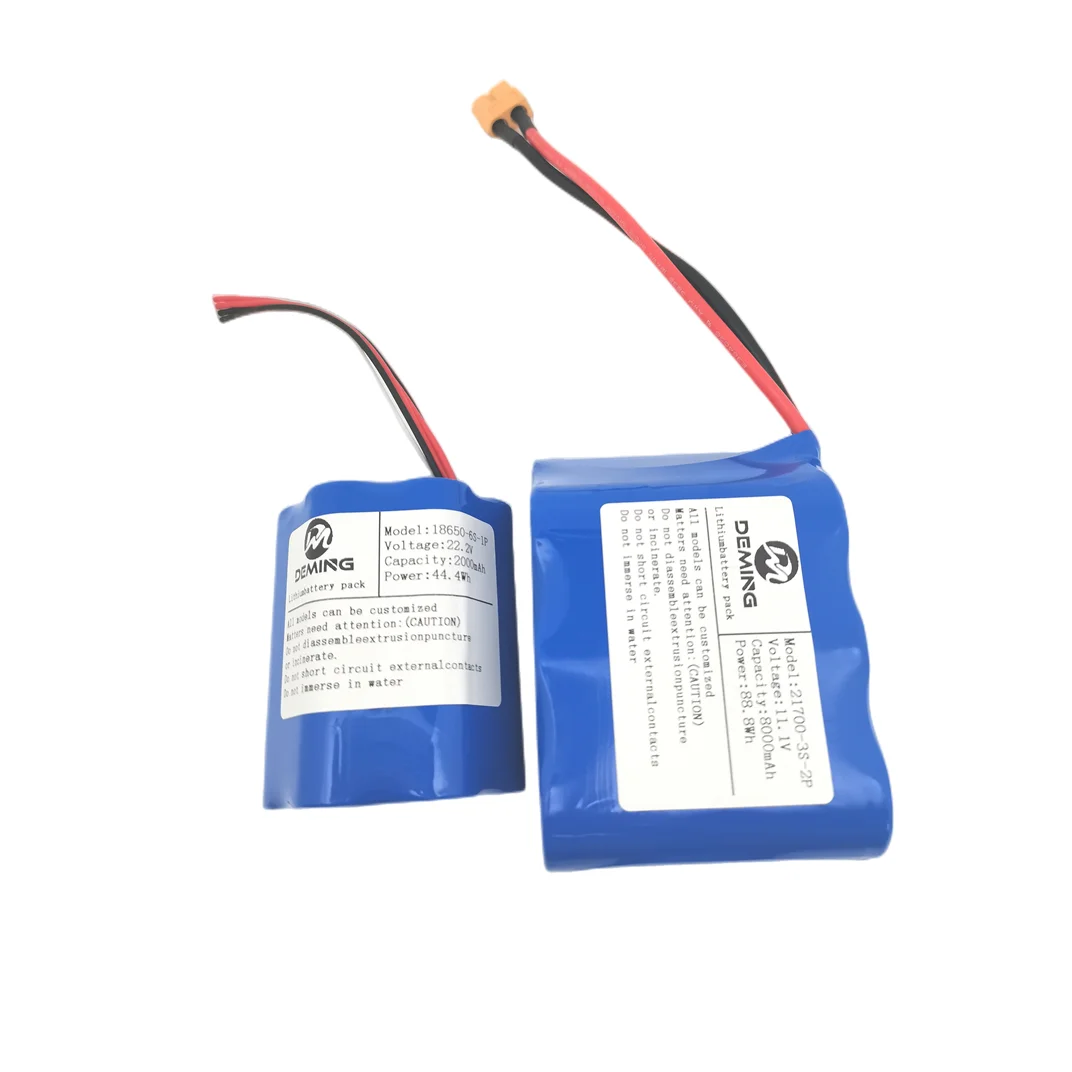 18650 Cell 6s1p 22.2v Low-cost Customized Lithium Ion Battery Packs Of ...