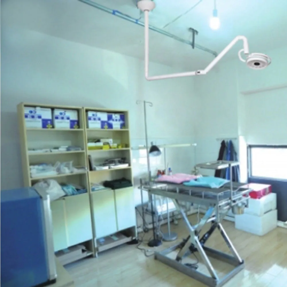 Chenwei Shadowless Lamp Gynecological Examination Ophthalmology Dental ...
