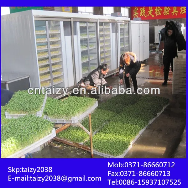 Fodder Sprout Making Machine /seed Germinate Machine - Buy Seed ...