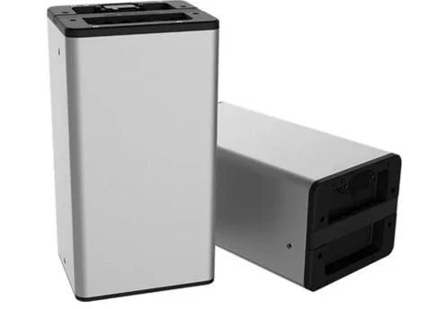 Elyx Smart OEM Factory 2020 EEC/DOT Dual Portable Battery 2000W