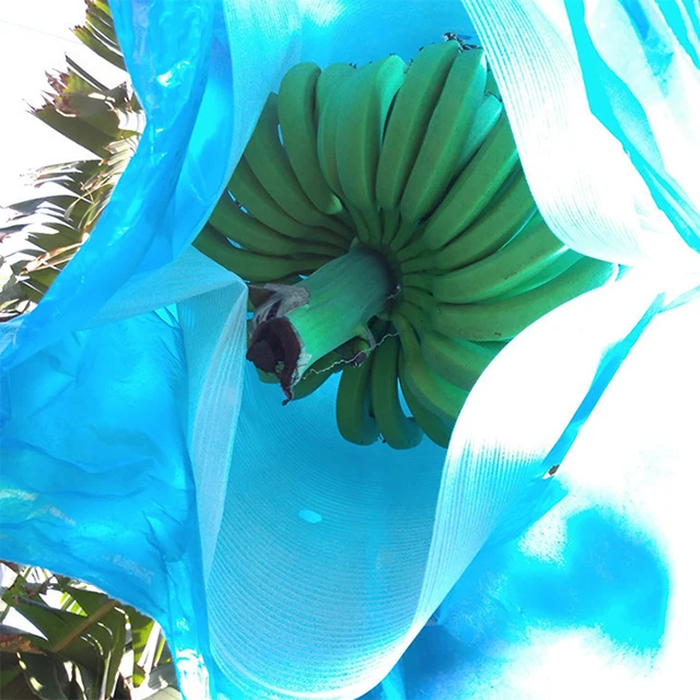 Blue Perforated Polyethylene Plastic Banana Protection Bag