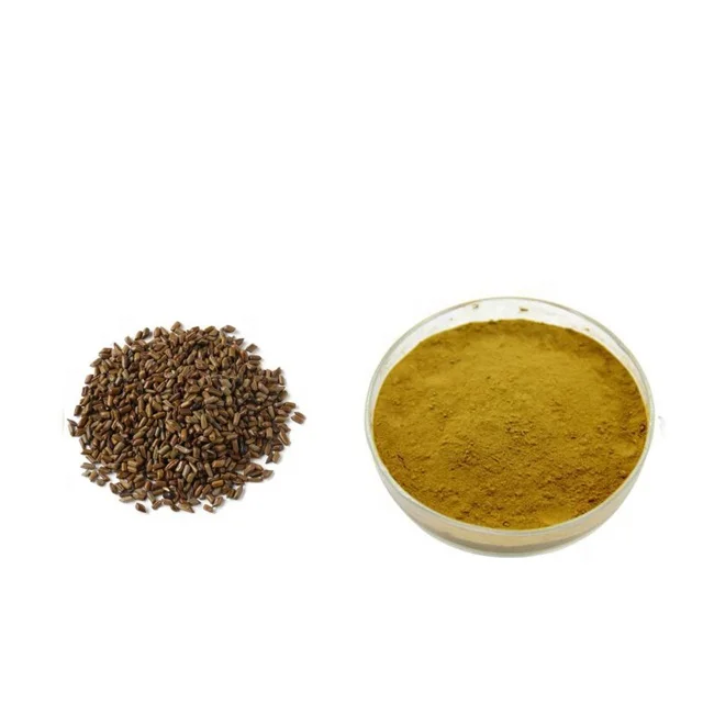 Factory Supply Cassia Angustifolia Seed Polysaccharide Cassia Seed ...