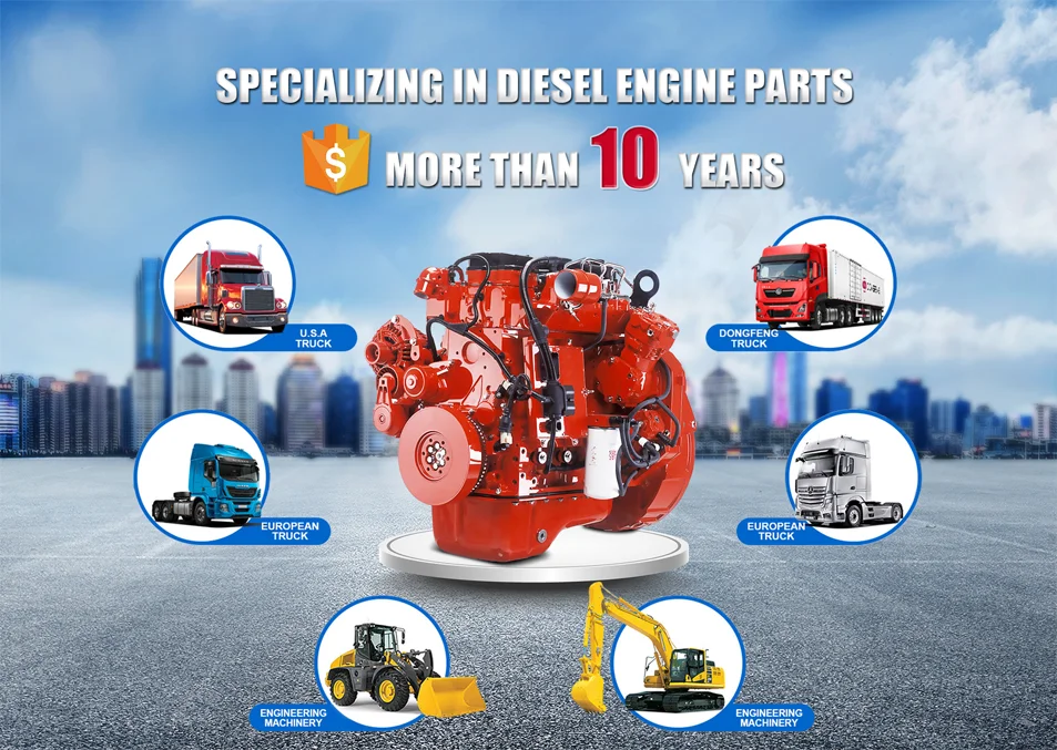 Nt855 Diesel Engine Fuel Pump Gasket 4026171 Oem | Wholesale