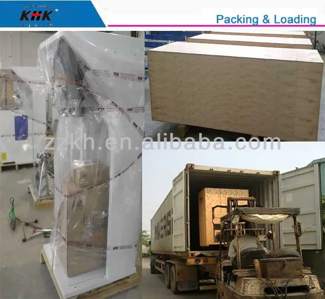 Double Weighing Hopper Rice Bagger Packing Machine - 500BPH