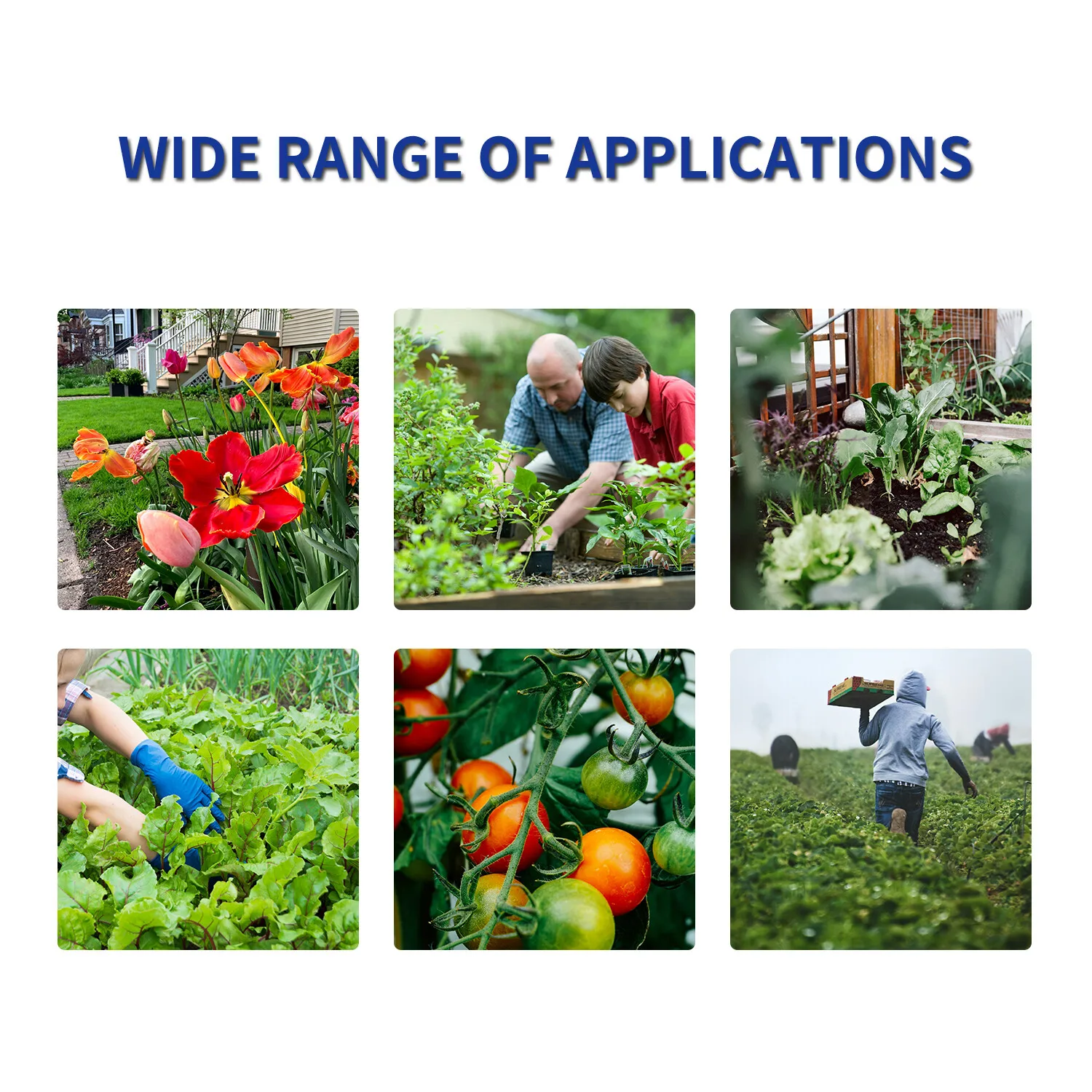 Vansful Soil test Reagent Kit, Ph, Nitrogen, Phosphorus, Potassium ...