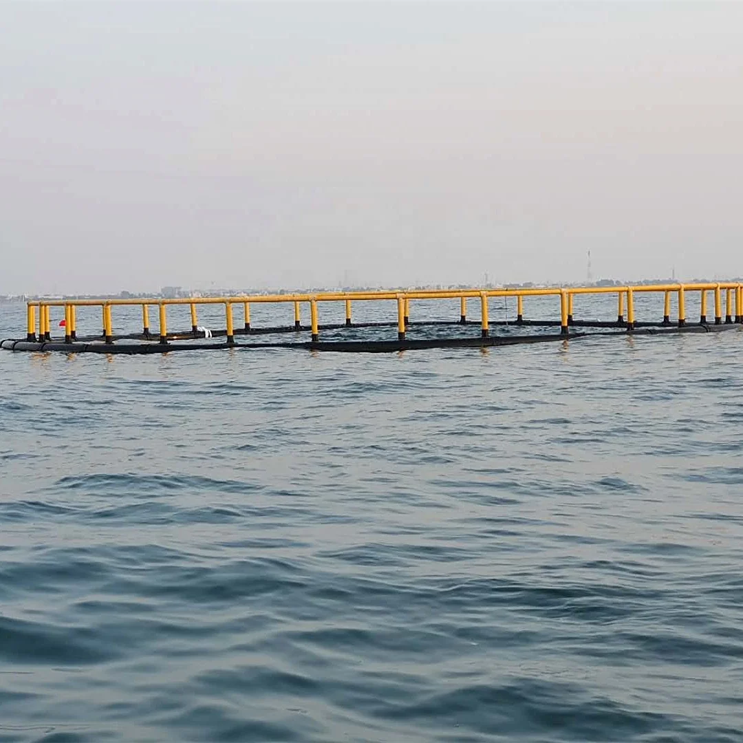 Bluefin Tuna Aquaculture Floating Cage Pen HDPE Circular Plastic Fish ...
