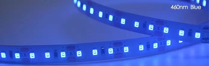 365nm 395nm 430nm 460nm 525nm 592nm 630nm 850nm UV LED Strip IR Strip Light