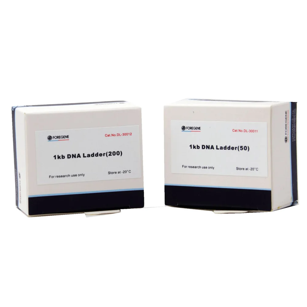 Agarose Gel Electrophoresis Use 100 Bp Dna Ladder DNA Marker With Sizes ...