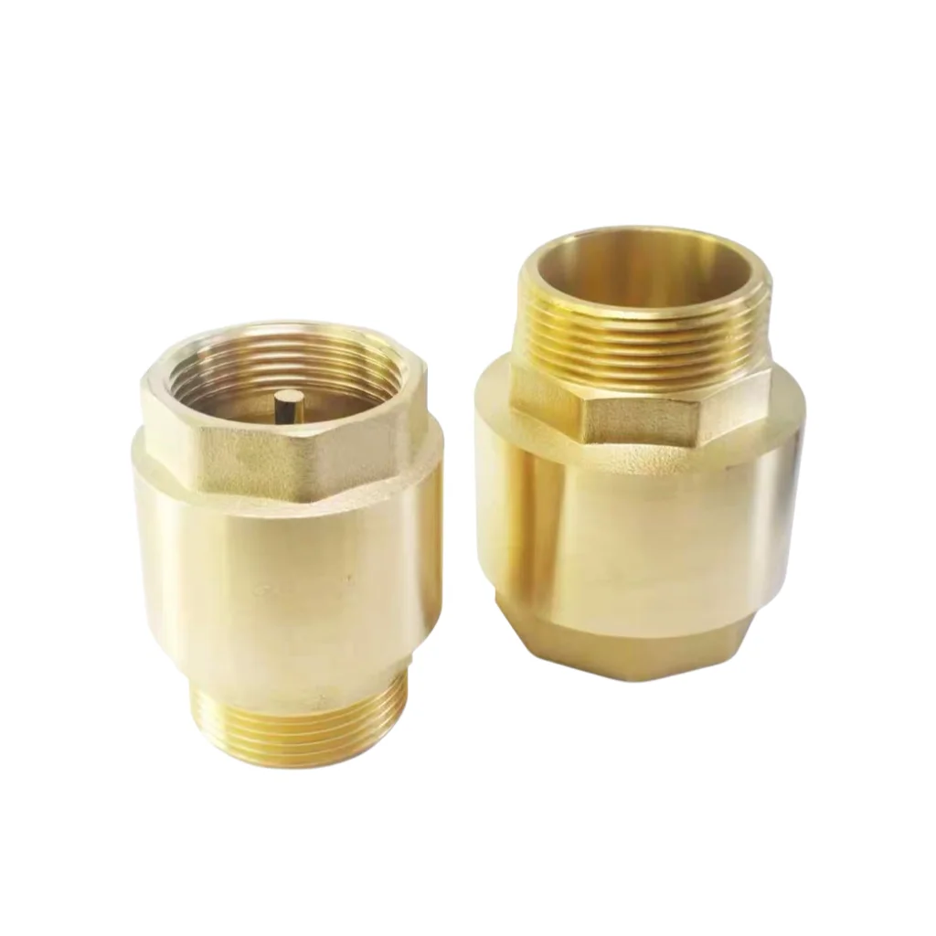 Brass Spring Vertical Check Valve 1/2 Pipe Thread Water Pump Essential ...