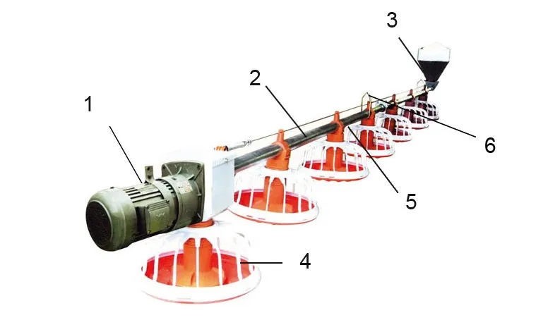 Automatic Chicken Pan Feeder System Poultry Layer Broiler Quail House ...