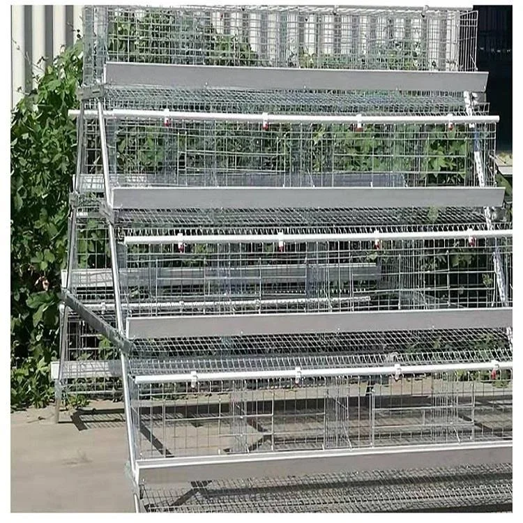 Layer Poultry Farming Cages Automatic Egg Layer Cage Big Large Size ...