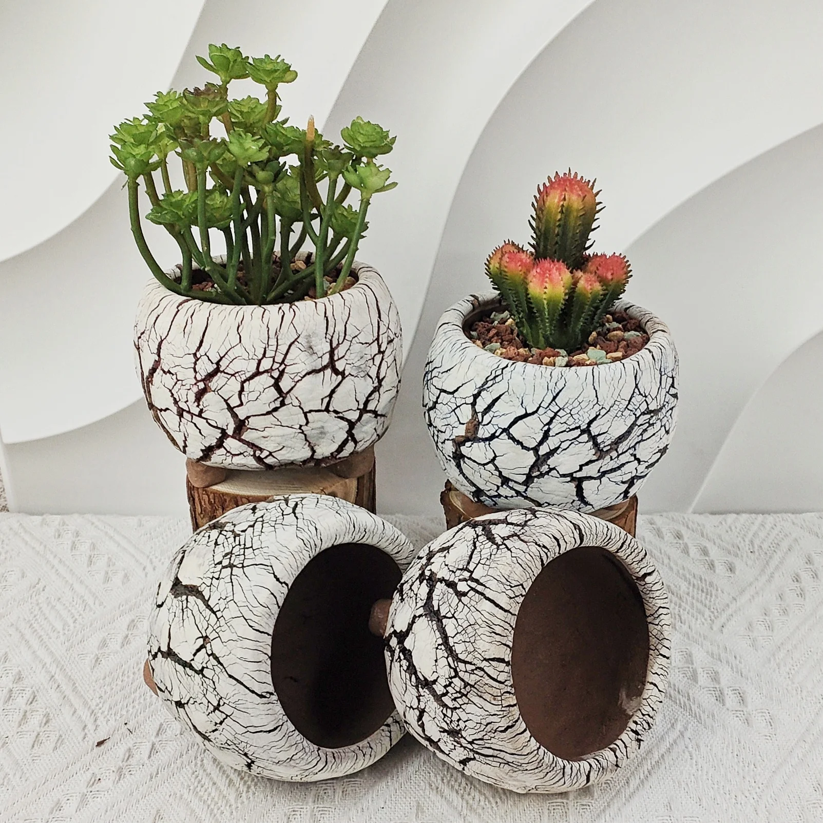 Hot Sale Unique Personality Ceramic Succulent Pot For Cultivation Of ...