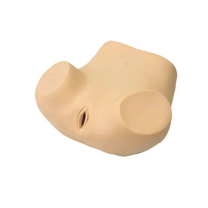 Gynecologic Examination Simulator For Training,Gynecological ...