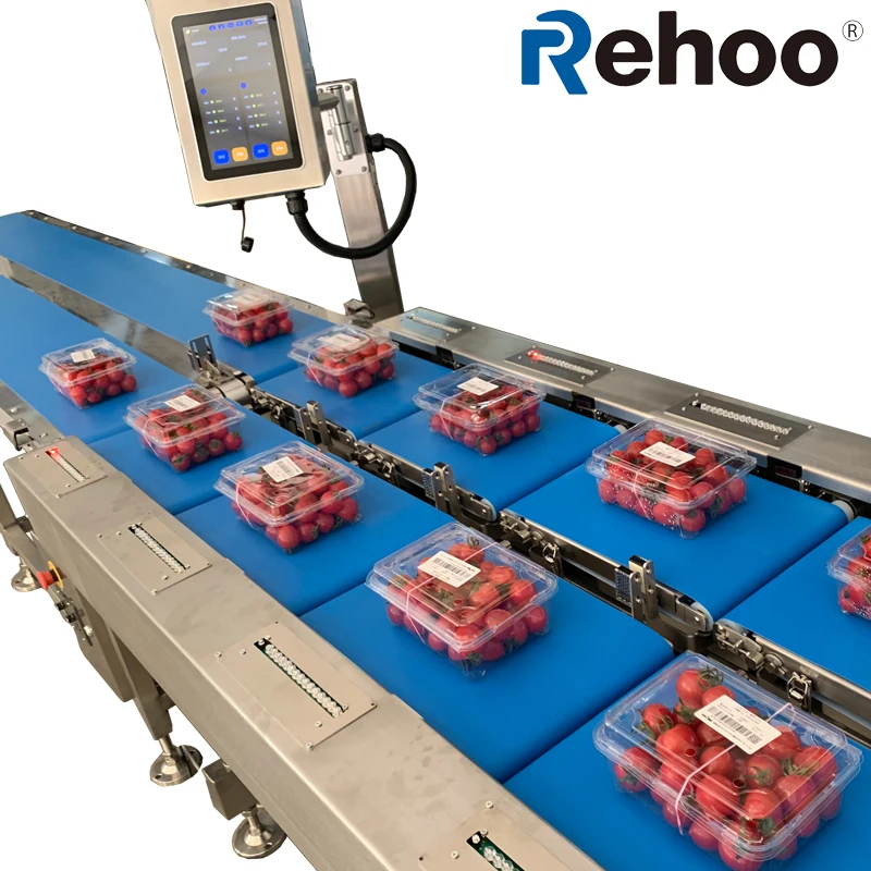 Multi-Station Combination Conveyor Check Weigher 150kg Capacity with 1g ...