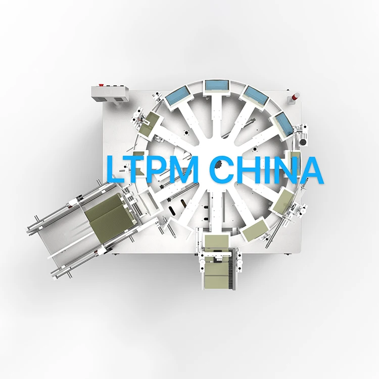 New Design Sus304 Automatic Vertical Carton Box Packing Machine Rotary ...