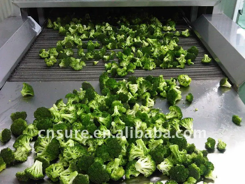 R404A IQF Instant Freezing Blaster Freezer for Food