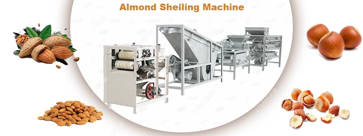 Hazelnut Cracking Machine - Efficient Filbert Shells Removal