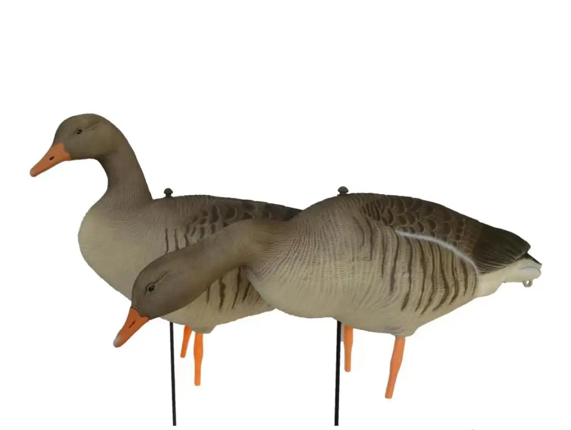 Hunting with EVA Plastic Wild Goose Decoys - Lightweight & Durable