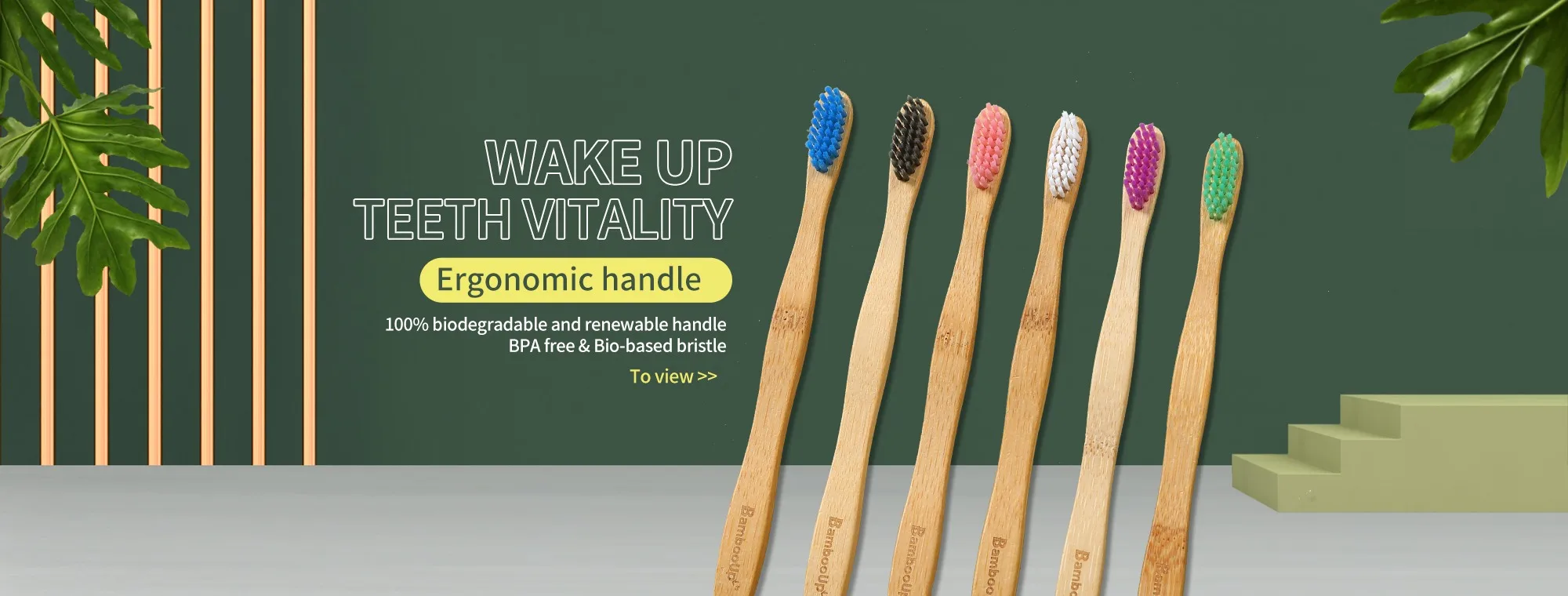 Pesitro Healthcare Products Co., Ltd. - Toothbrush, Interdental Brush