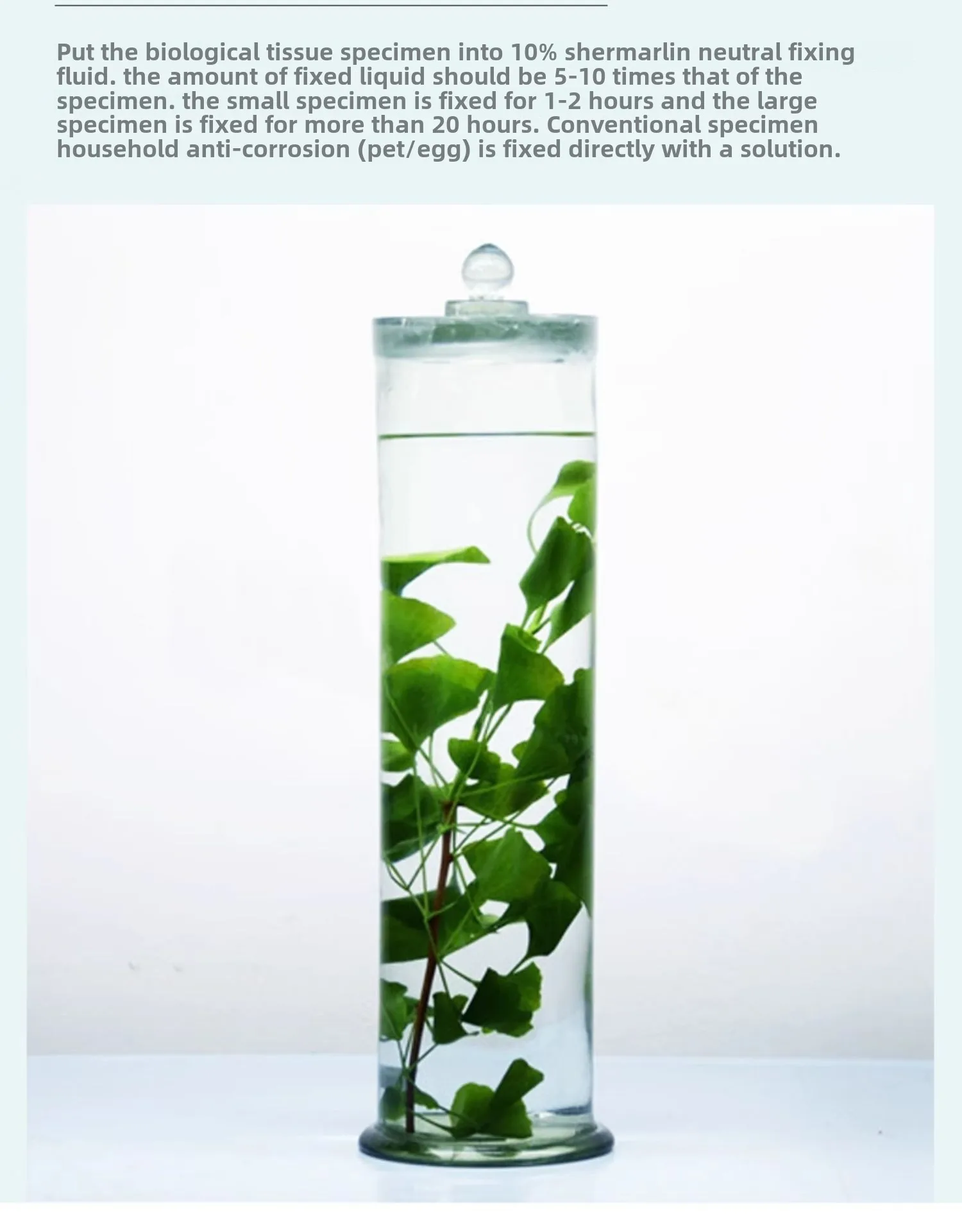 OEM Customizable Antiseptic Formalin Liquid Plastic Tissue Fixative ...