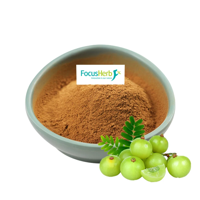 Focusherb Natural Gallic Acid Amla Extract Phyllanthus Emblica Extract ...