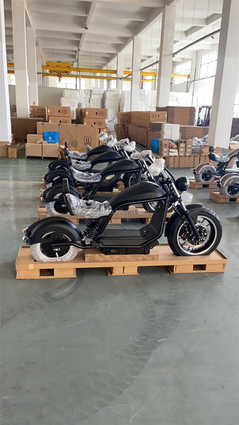 Holland Warehouse Luqi HL6.0 Citycoco 2000w Electric Scooter