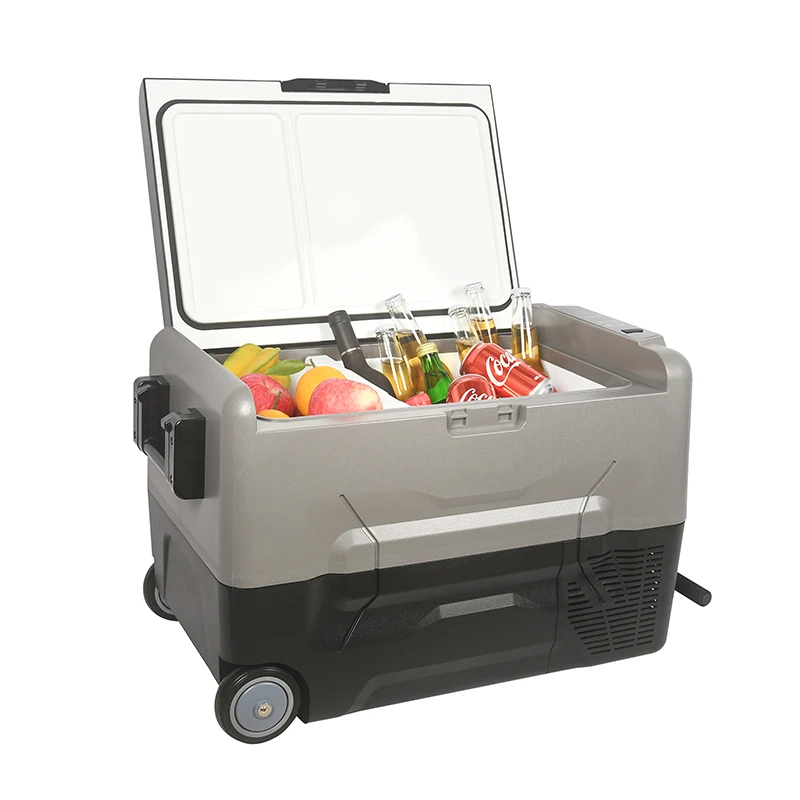 Black Friday Cooler Guide: How to Choose Wisely