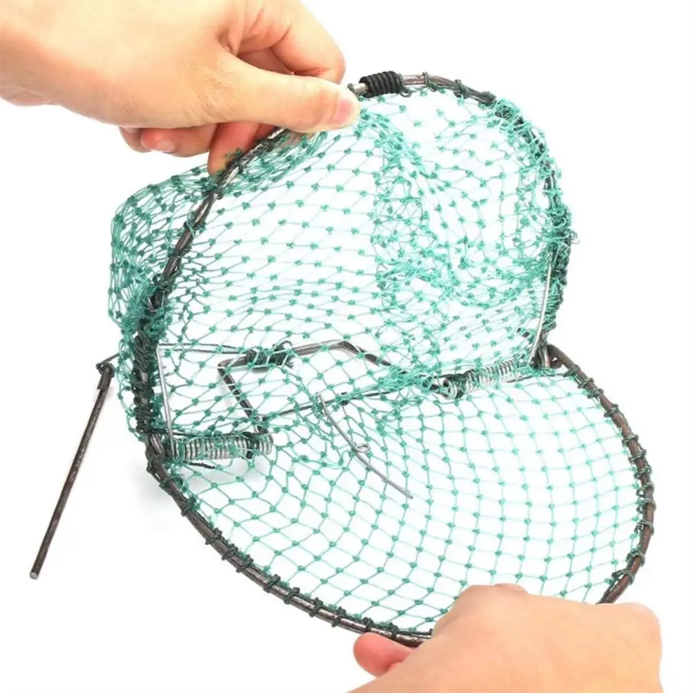 Humane Live Bird Trap Net for Pigeons, Sparrows & Quail - Eco-Friendly ...
