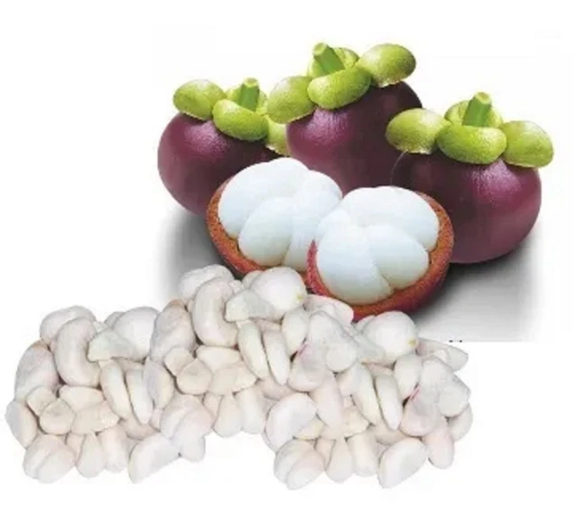 Freeze Dried Fruits Kin Aroi Freeze-dried Mangosteen Premium Quality ...