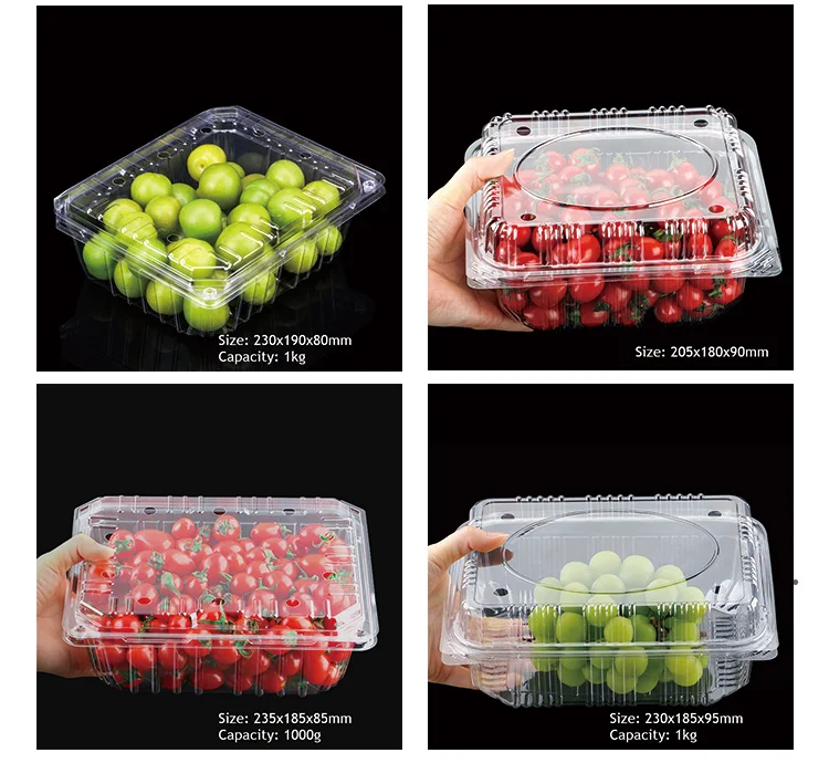 Clear Disposable Plastic Retangular Clamshell Blueberry Packaging ...