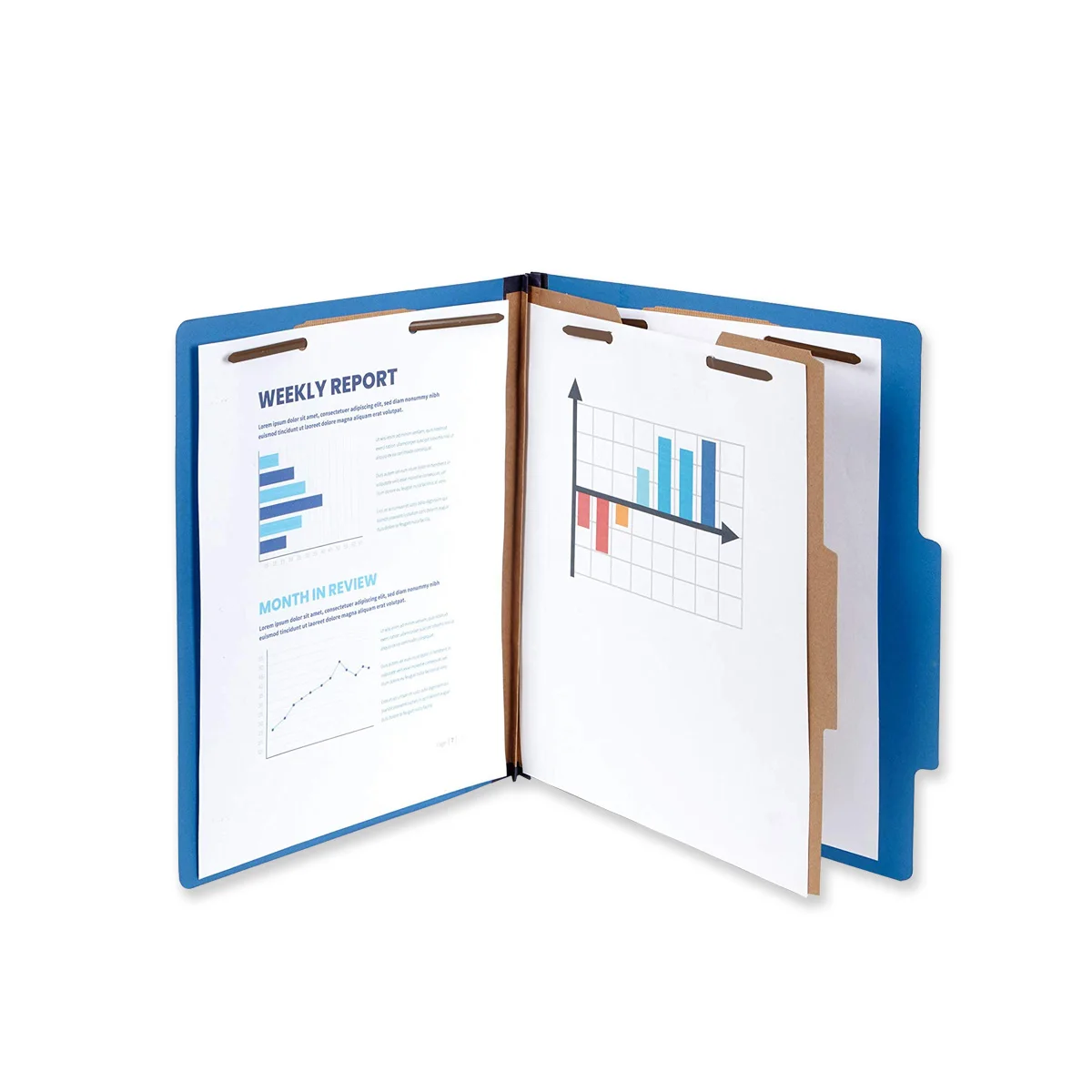 Top Quality Fashion Customized Dark Blue Letter Medical Classification ...