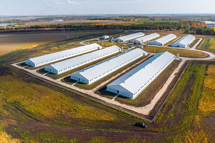 Cheap Poultry Cattle Farm House Building Sheds| Alibaba.com
