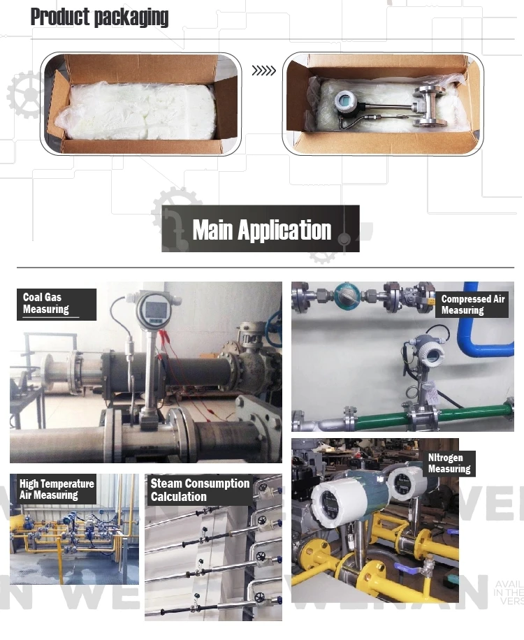 MODBUS Digital Gas Flow Meter - Precise Steam Measurement