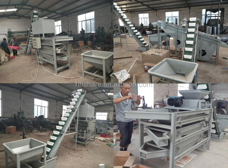 Efficient Walnut Shelling with Automation Palm Kernel Cracker