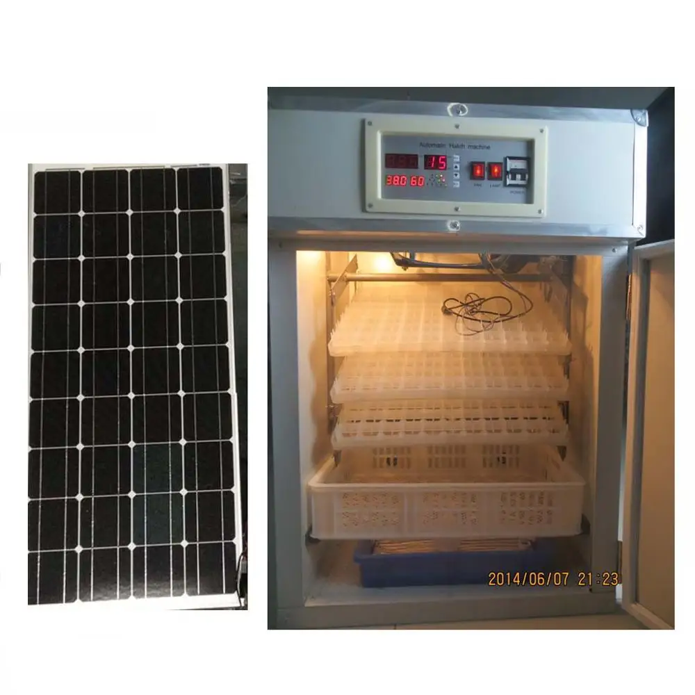 250 Chicken Egg Solar Incubator Deliver To Manila With Shipping And Tax ...