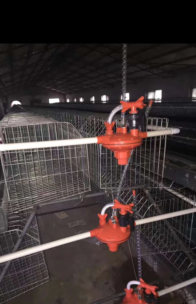 Chicken Layer Cage Pressure Reducing Regulator Valve
