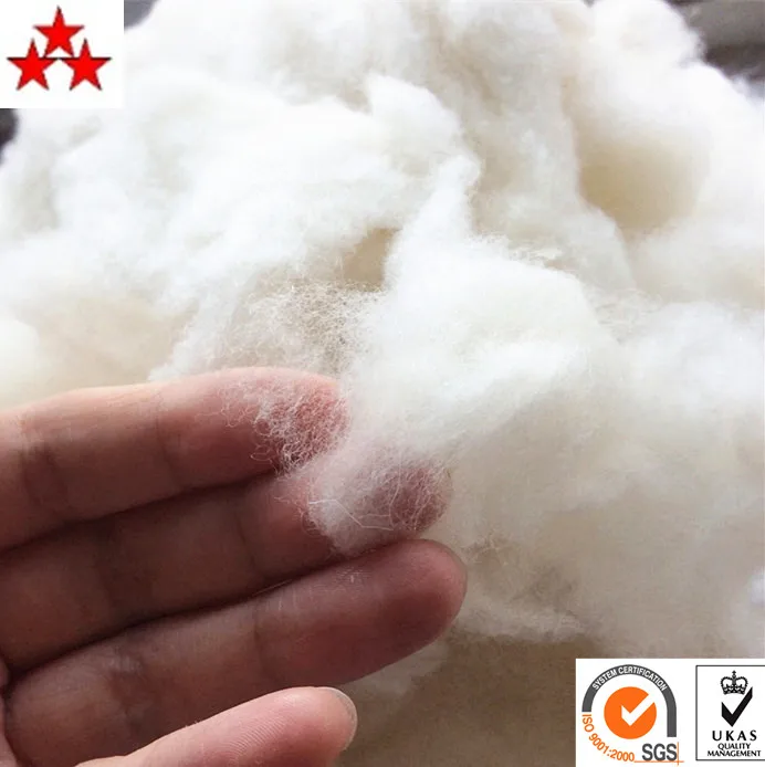 New Combed Clean Scoured Sheep Wool for Felt and Flocculus