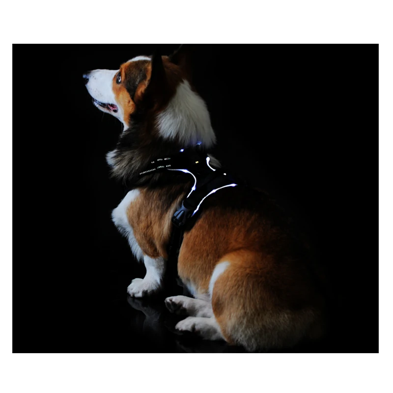 Outdoor Adjustable Pet Vest Safety Glow Flash Dog Harness Led Harness ...