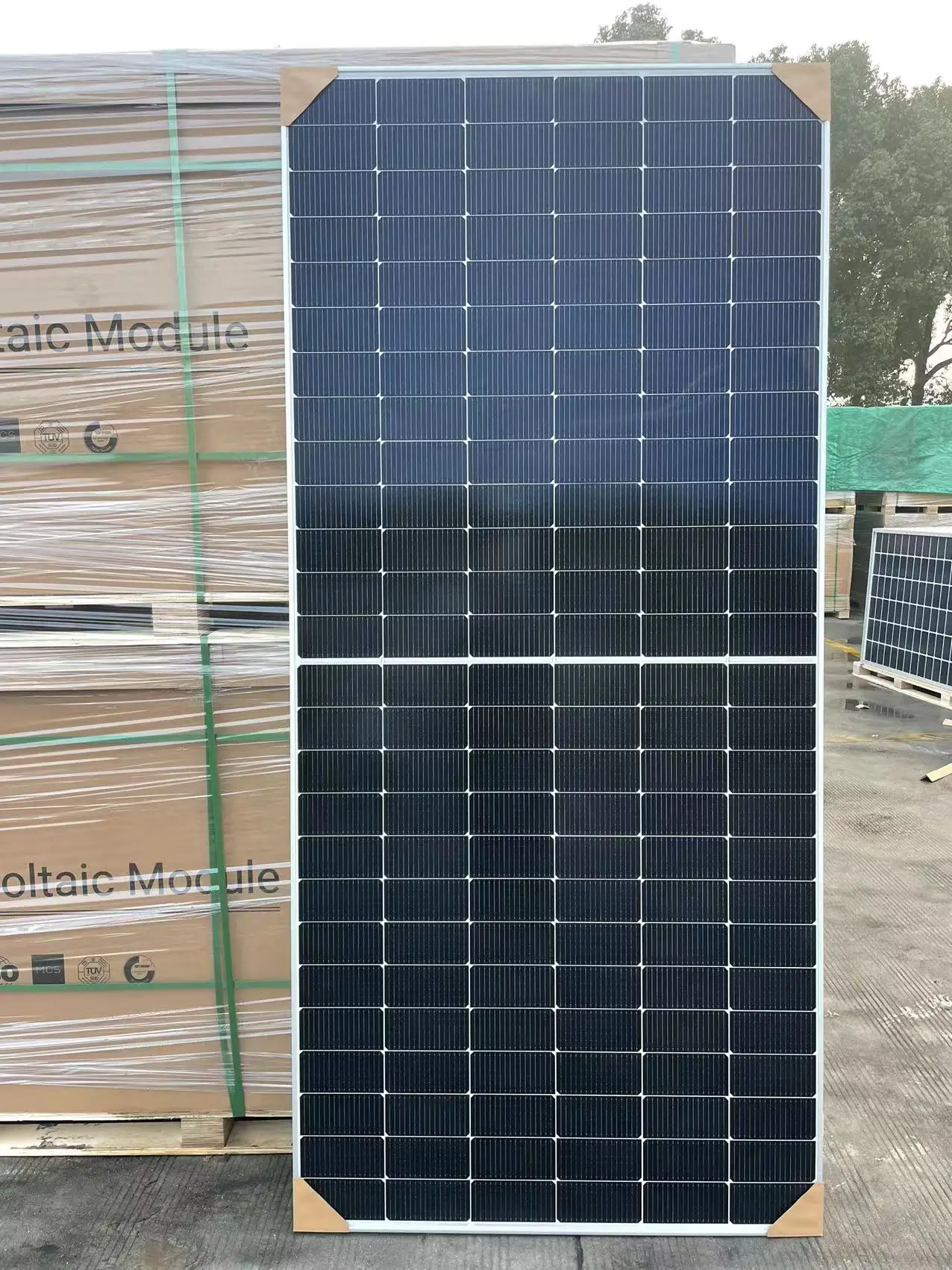 DMEGC 620W Bifacial Solar Panels - Efficient Power Solutions