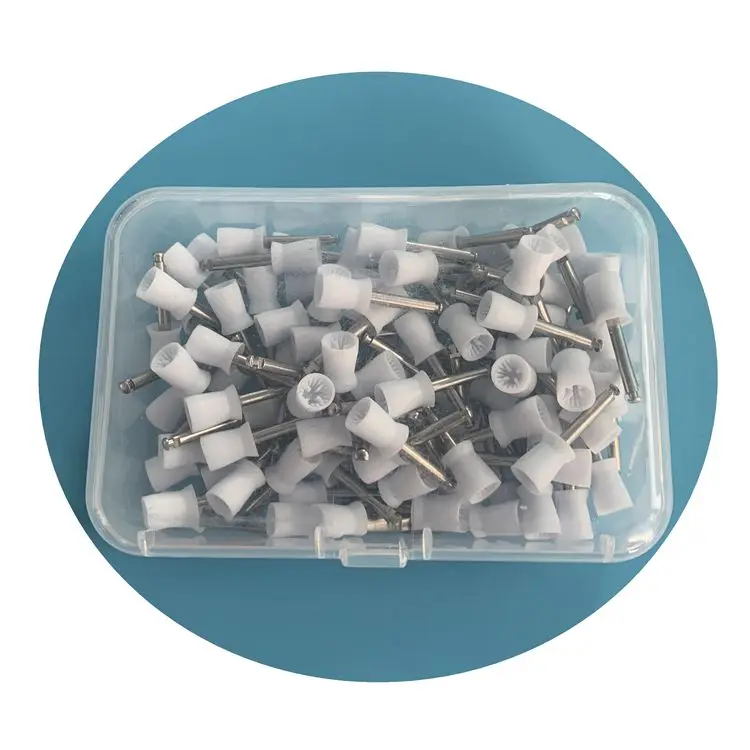 High Quality Dental Rubber Cup Prophylaxis for Low Speed