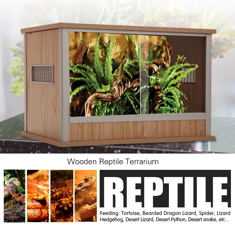 Wooden Reptile Terrariums - Professional & Durable Cages