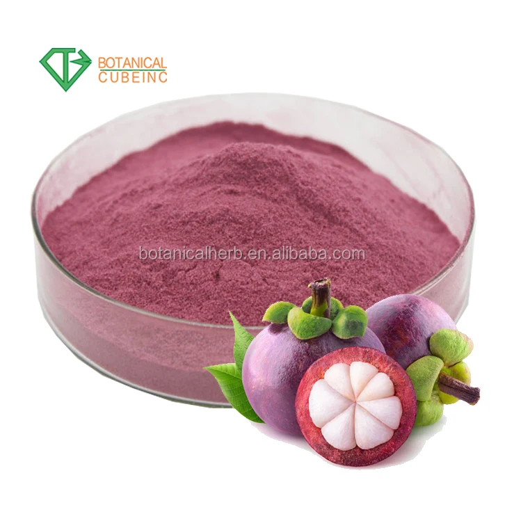Mangosteen Pericarp Freeze Dried Powder - Health Supplement