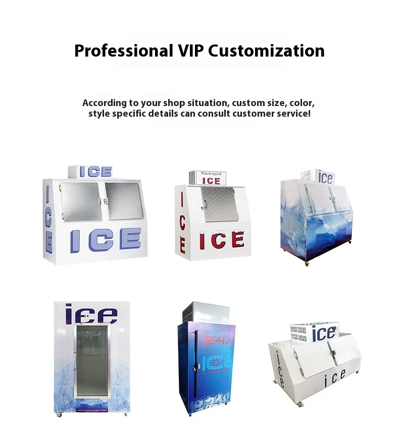 Single-Temperature Indoor/Outdoor Bagged Ice Merchandiser Digital ...