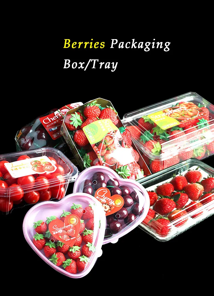 Strawberry Clamshell Box - Eco-Friendly Packaging Solution