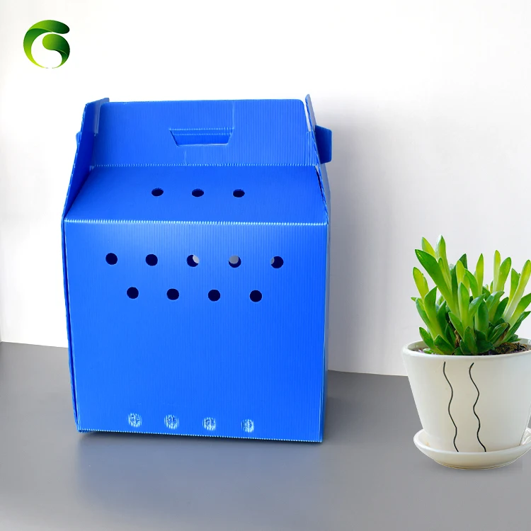 Fresh Plastic Corrugated Box Okra Asparagus Green Bean Packaging Box ...